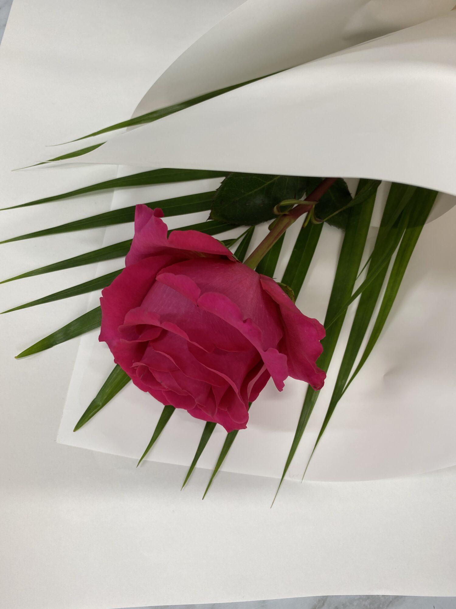 Hot Pink Rose - Bell Block Florist